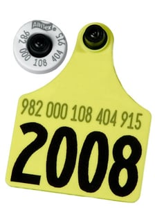 RFID Cattle Tags