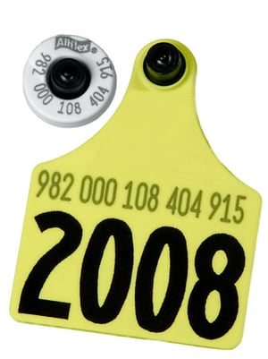 RFID Cattle Tags with DHI-Plus