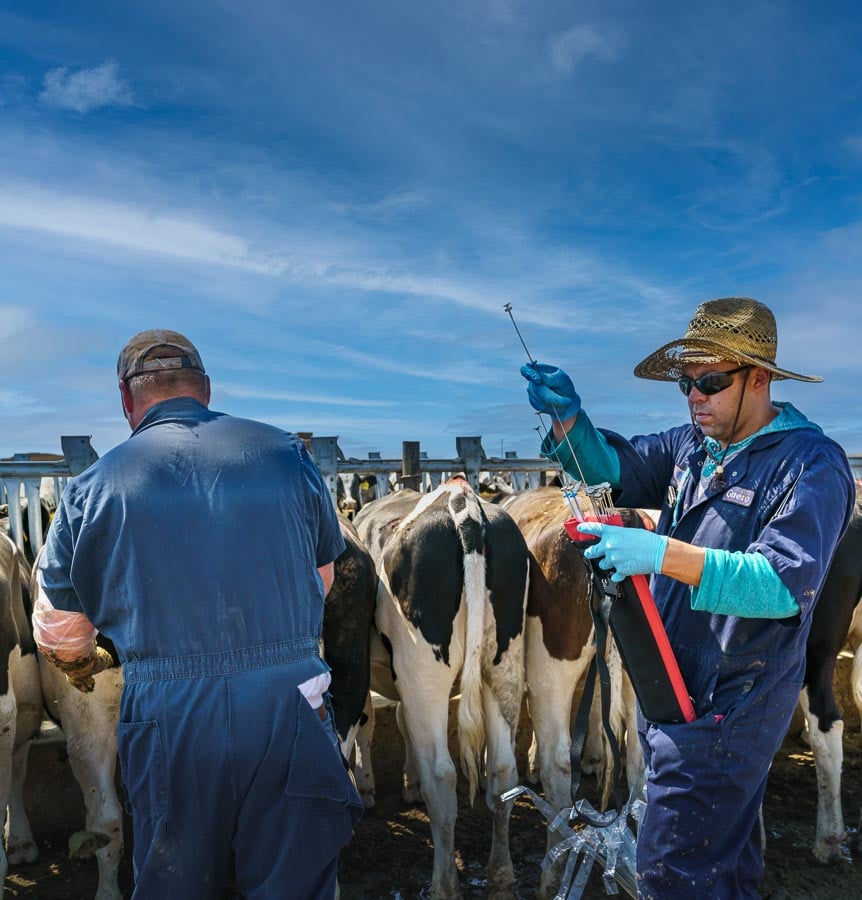 Dairy Herd Management Software