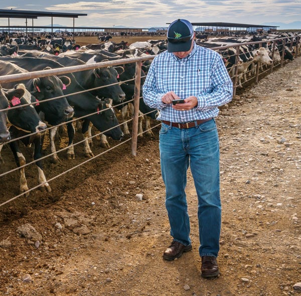 Dairy Herd Management Software