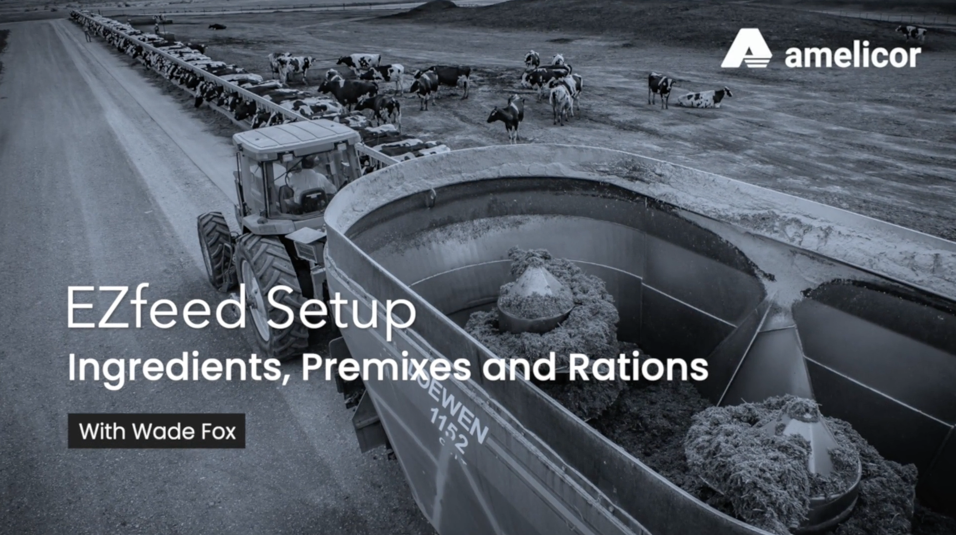 EZfeed Demonstration