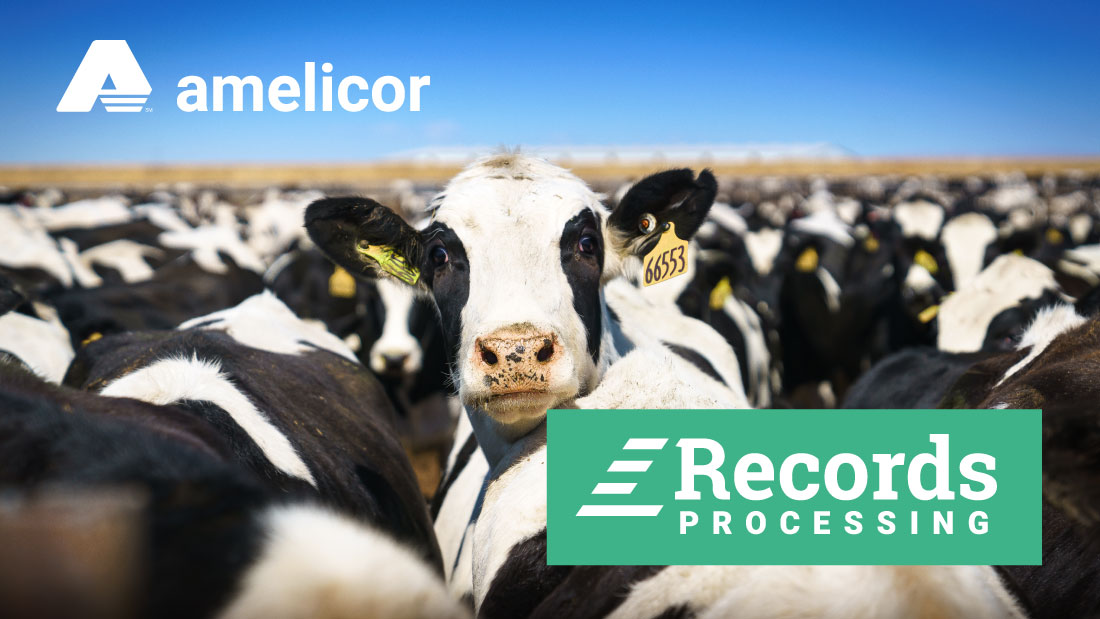 Process Dairy Records with Amelicor