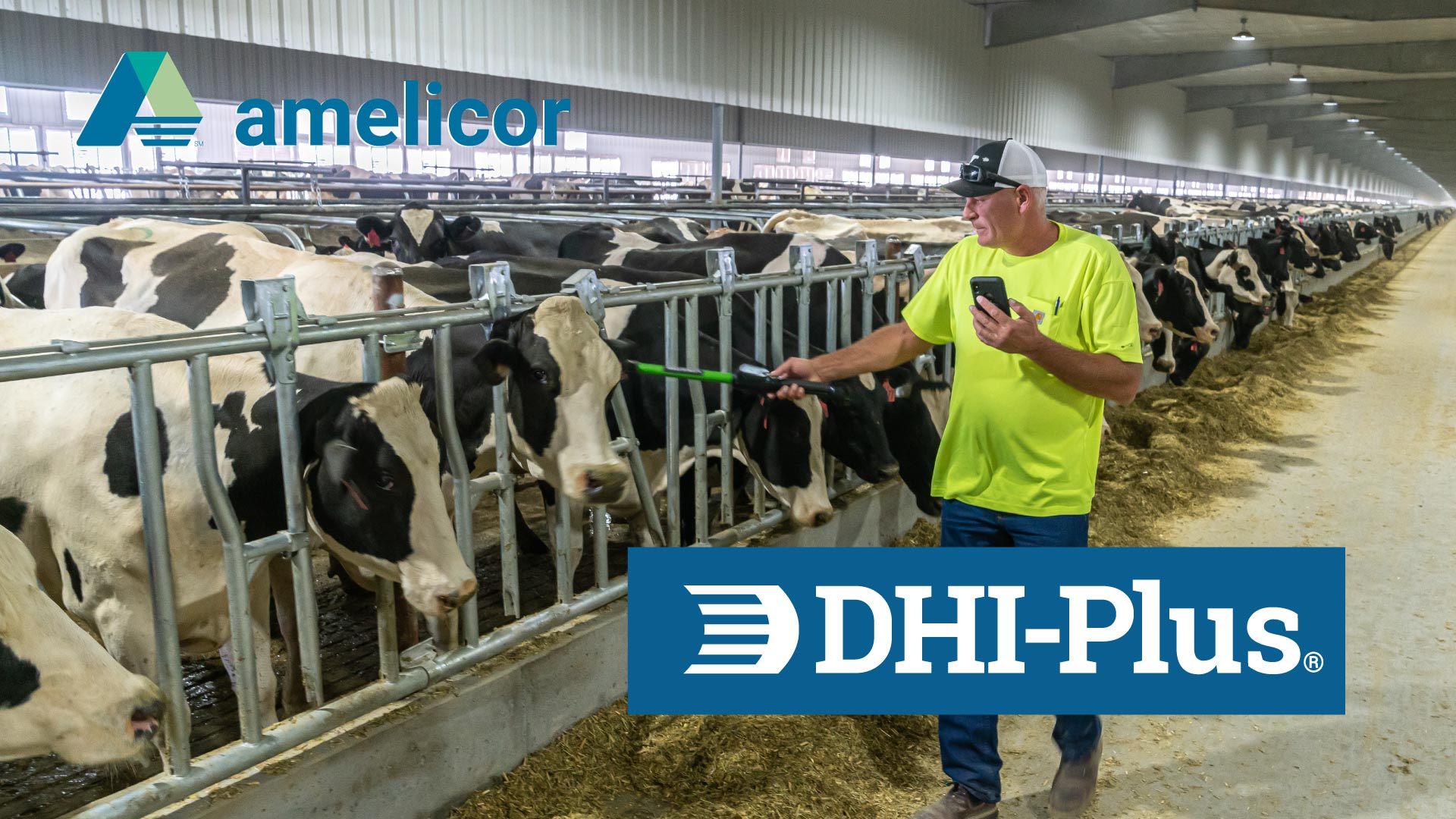 Recording Animal Health Data