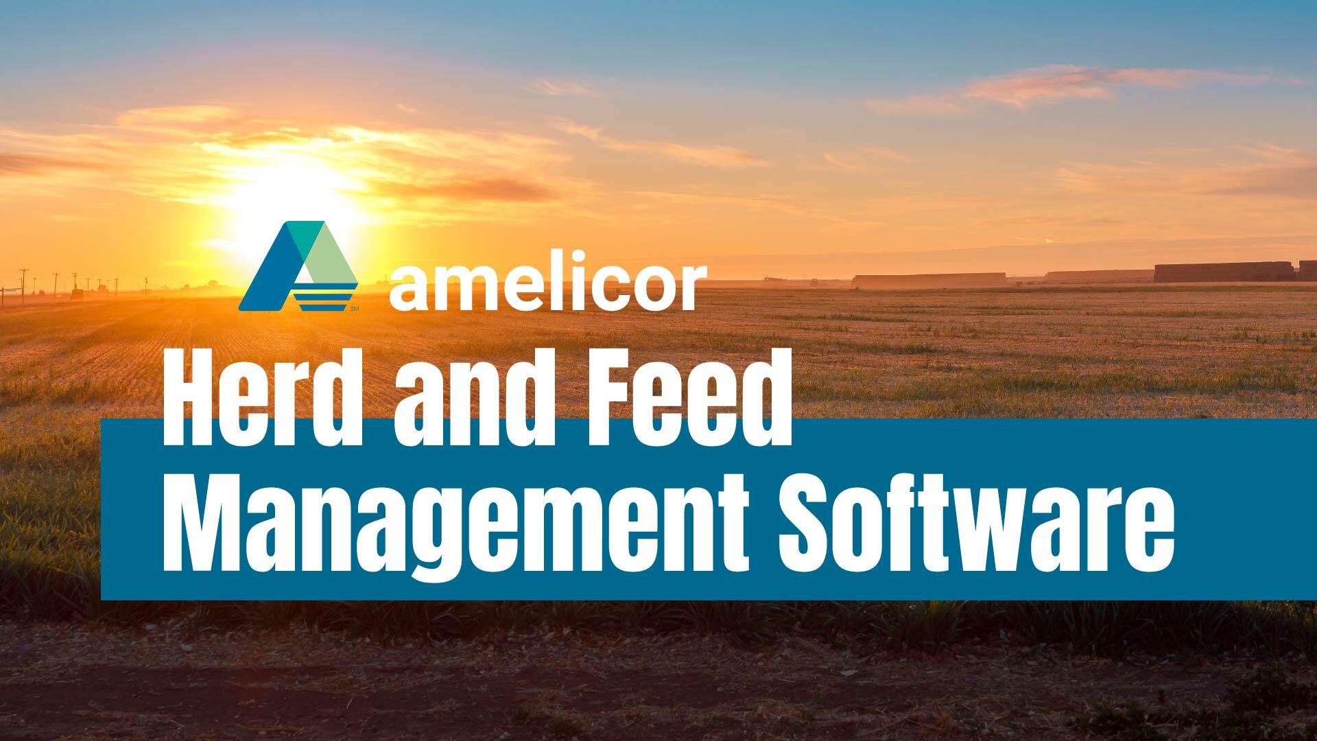 Amelicor Herd and Feed Management Software