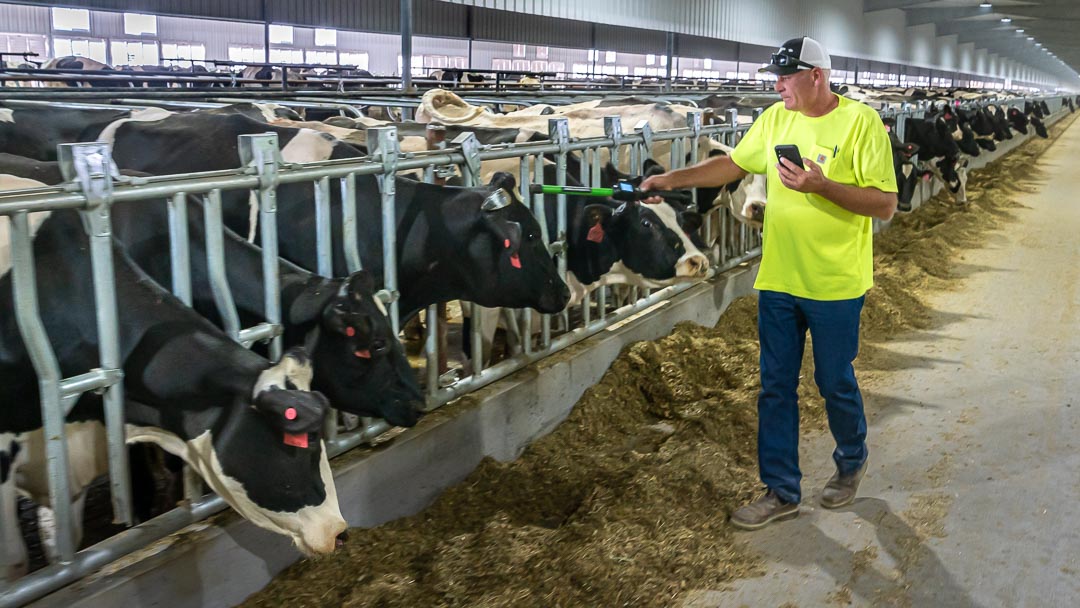 Recording Animal Health Data